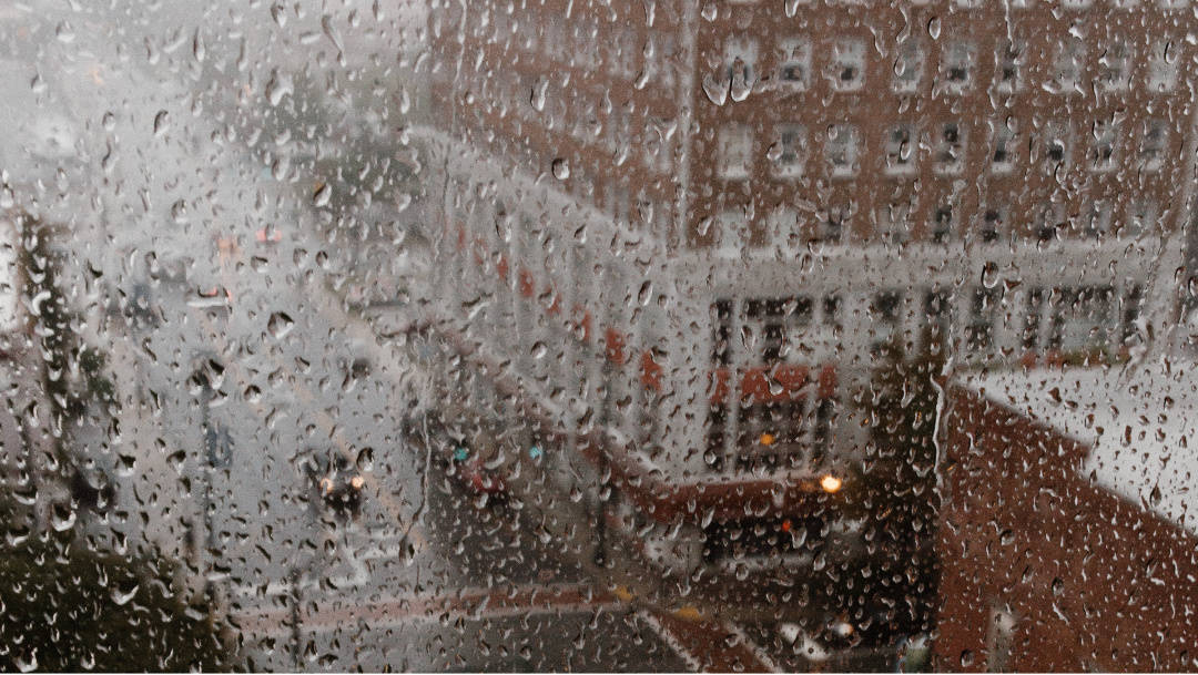 Things to do in Boston on a rainy day - Trapology Boston
